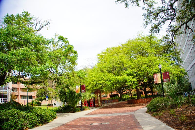 Florida State University Campus Plant in Spring Editorial Image - Image ...