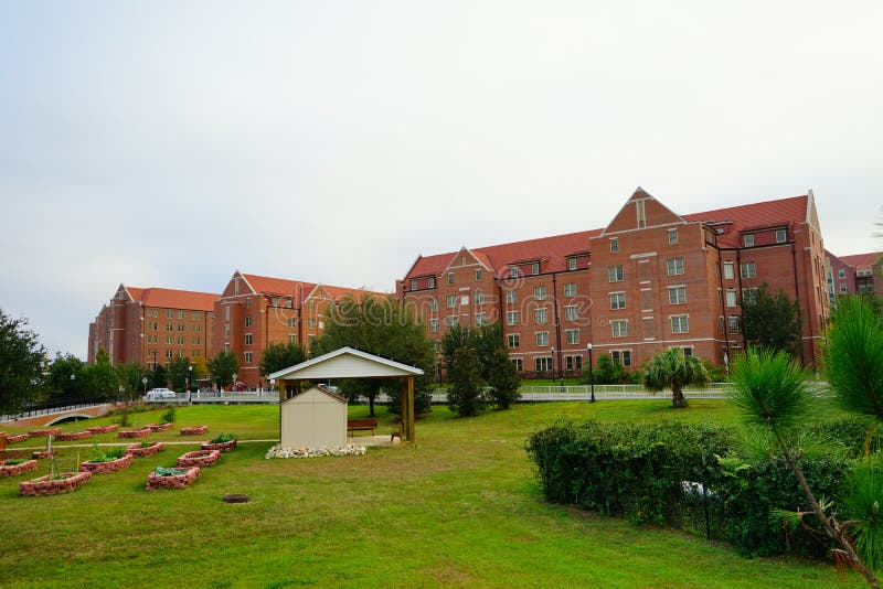 Florida State University Landscape Stock Photo - Image of architecture ...