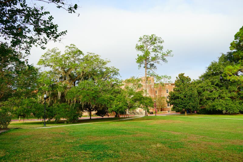 Florida State University Landscape Stock Image - Image of pretty ...
