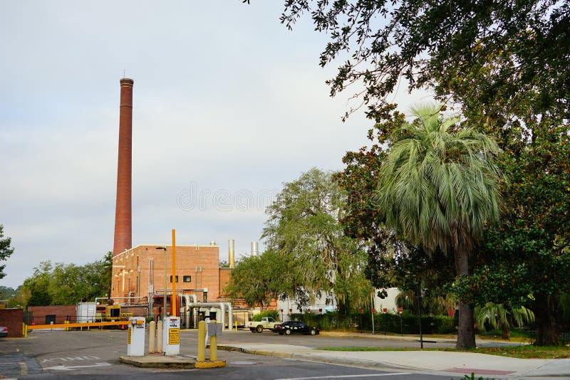 Florida State University Landscape Stock Image - Image of higher ...