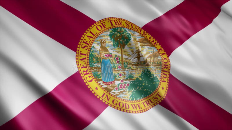 Florida State (USA) Flag Animation with Seamless Loop Stock Footage ...