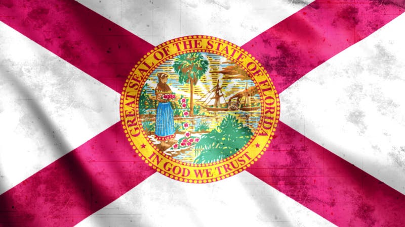 Florida State (USA) Grunge Flag Video Animation with Seamless Loop ...