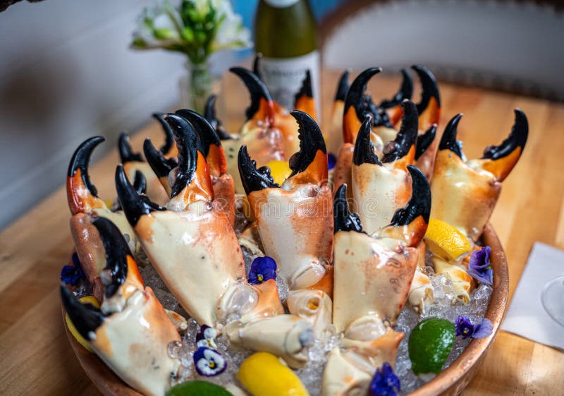 Florida Stone Crabs on Ice Tray Stock Image - Image of sustainable ...