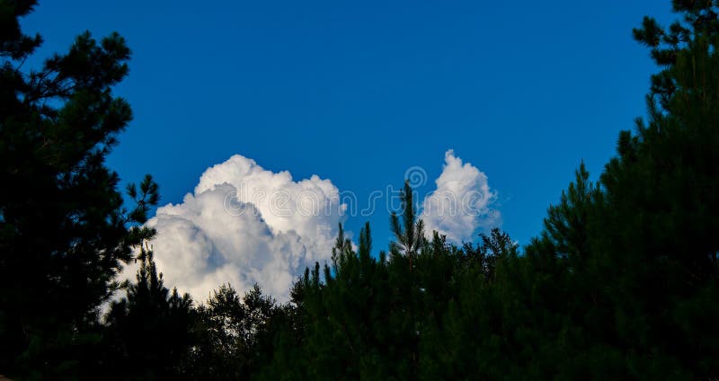 Florida Summer Tropical Cloud Number One Stock Image - Image of wind ...