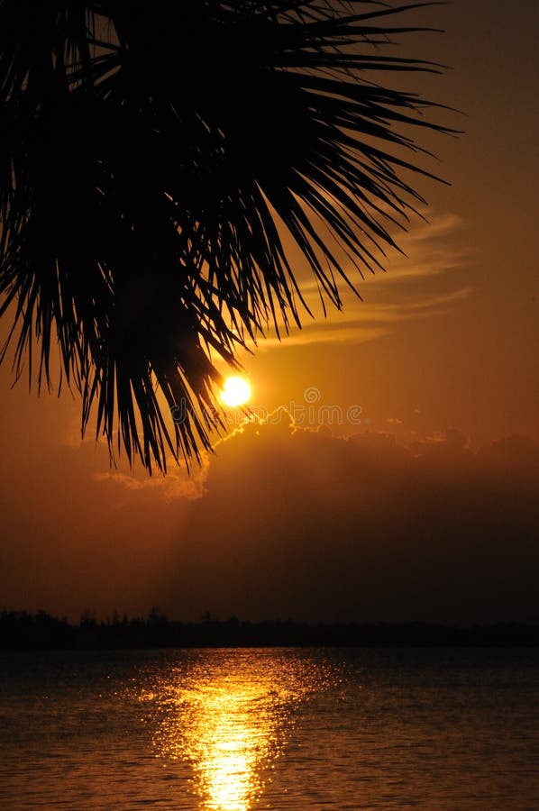 Florida Sunset stock photo. Image of clouds, dawn, florida - 12369776