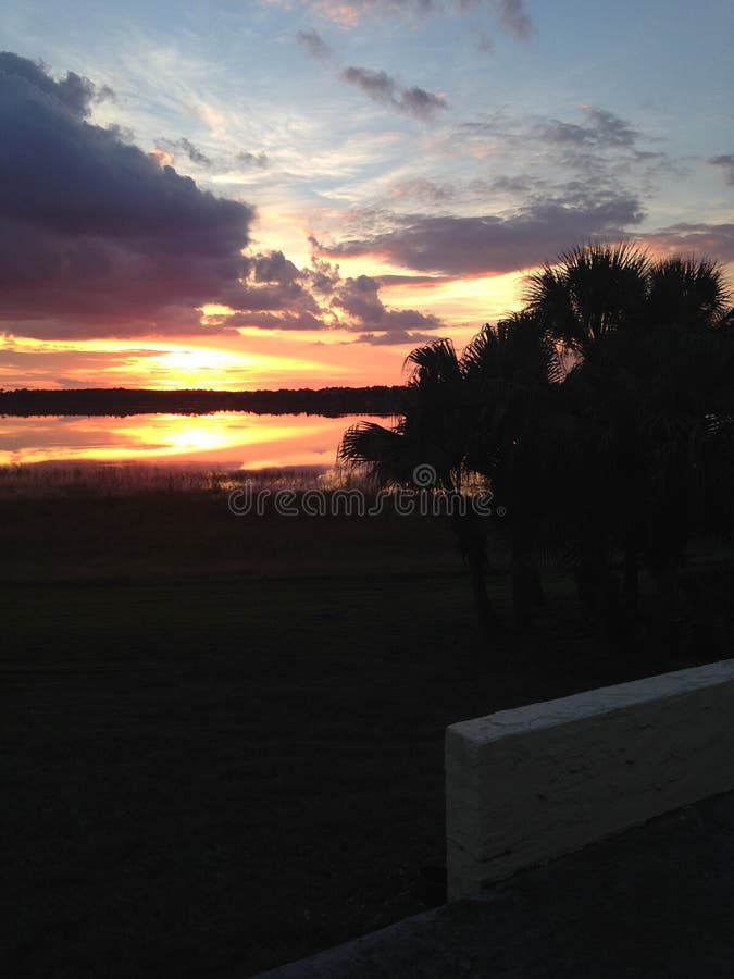 Florida sunset stock photo. Image of florida, lake, beautiful - 47696554