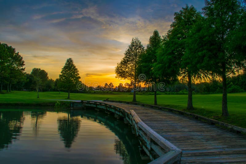 Florida Sunset stock photo. Image of hour, clouds, trees - 57329138