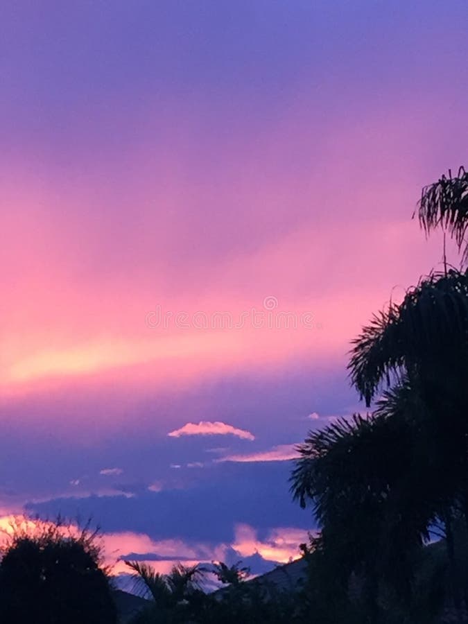 Florida Sunset stock image. Image of evening, florida - 100547329