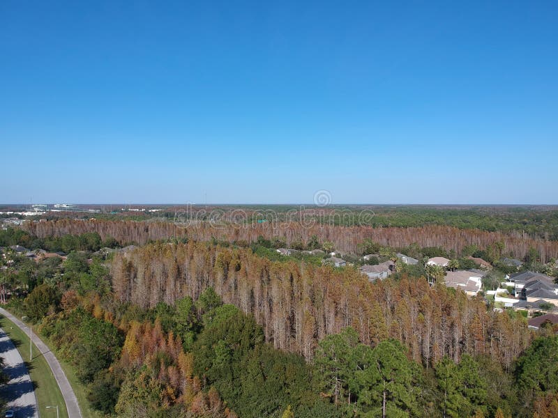 Florida winter landscape stock image. Image of parkway - 169034233