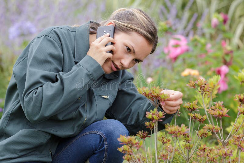 Florist Doing Phone Call while Looking at Plant Stock Photo - Image of ...