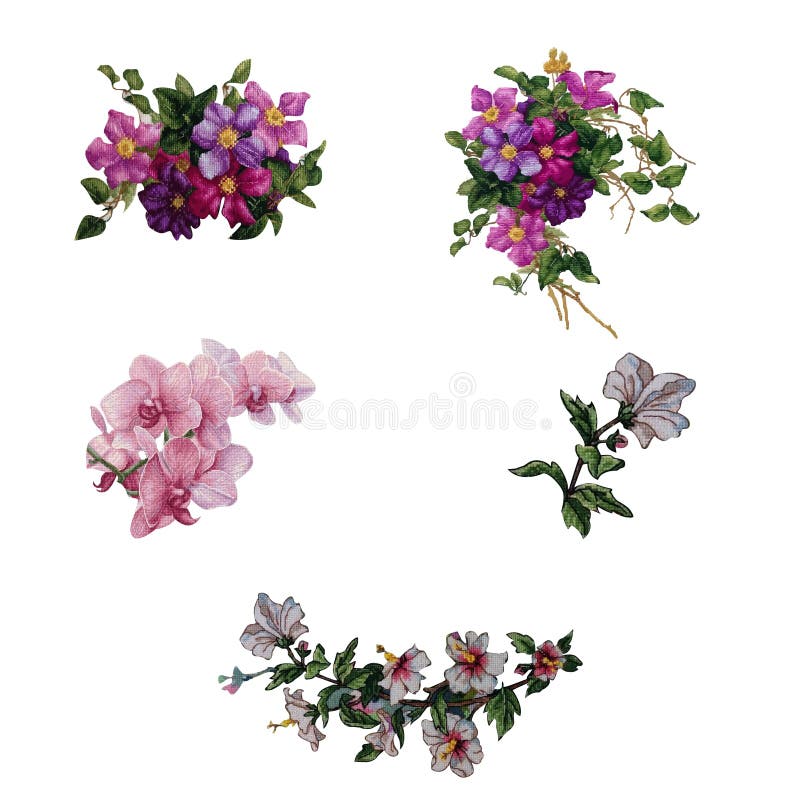 Florist Flower Water Color Botanical Plant Stock Vector - Illustration ...