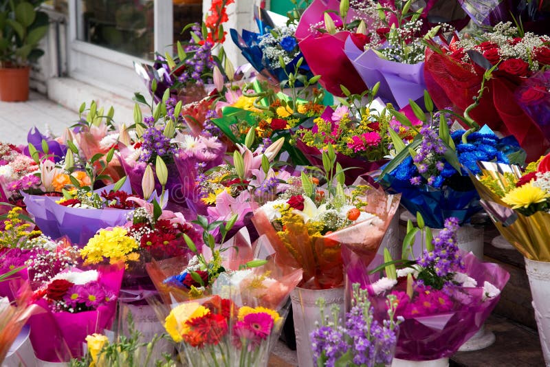 Florist stock photo. Image of plants, market, colour - 45749760