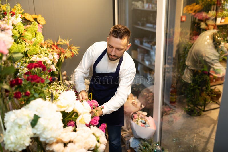 Florist in the Fridge Creating Flower Arrangements Stock Image - Image ...