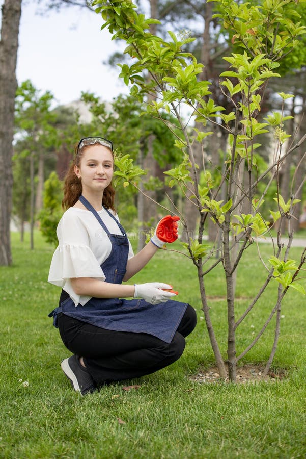Florist Standing, Looking at Camera, Showing, Touching Bushes. Stock ...
