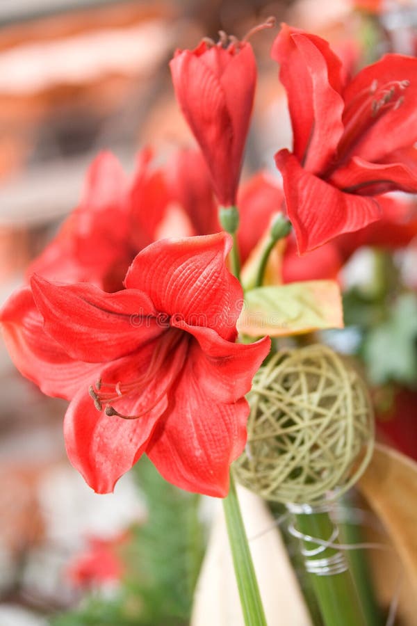 Floristic background stock photo. Image of florist, fragrance - 11375392