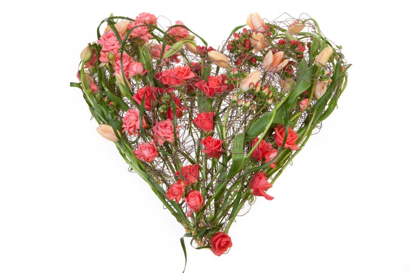 Floristic Composition stock image. Image of conceptual - 12692051