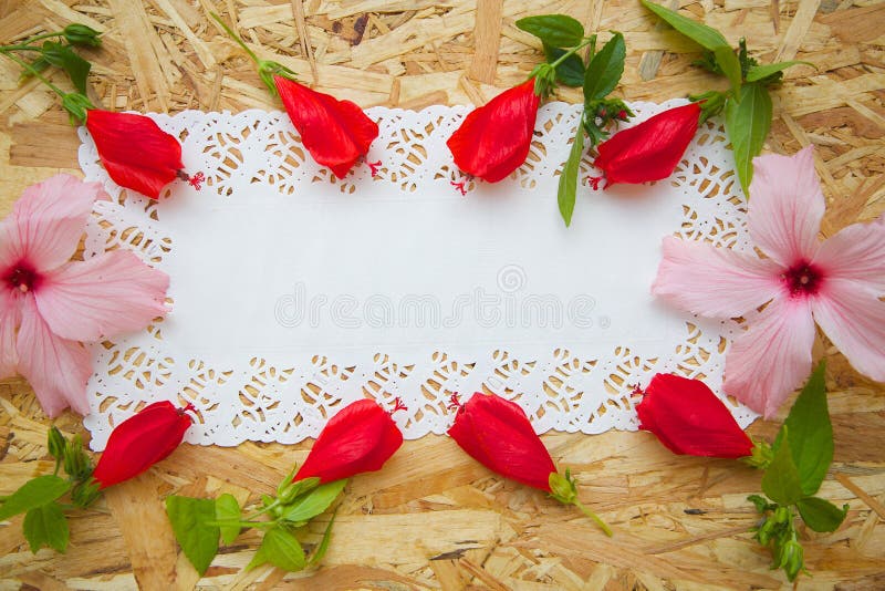 Floristic Composition - Postcard. Stock Image - Image of event ...