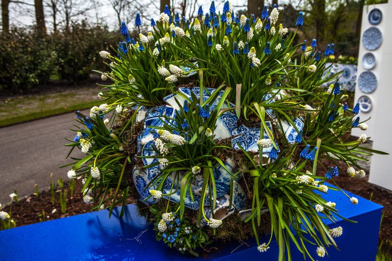 Floristic Decorative Elements Close-up Stock Photo - Image of lisse ...