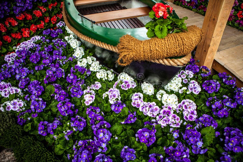 Floristic Decorative Elements Close-up Stock Photo - Image of floral ...