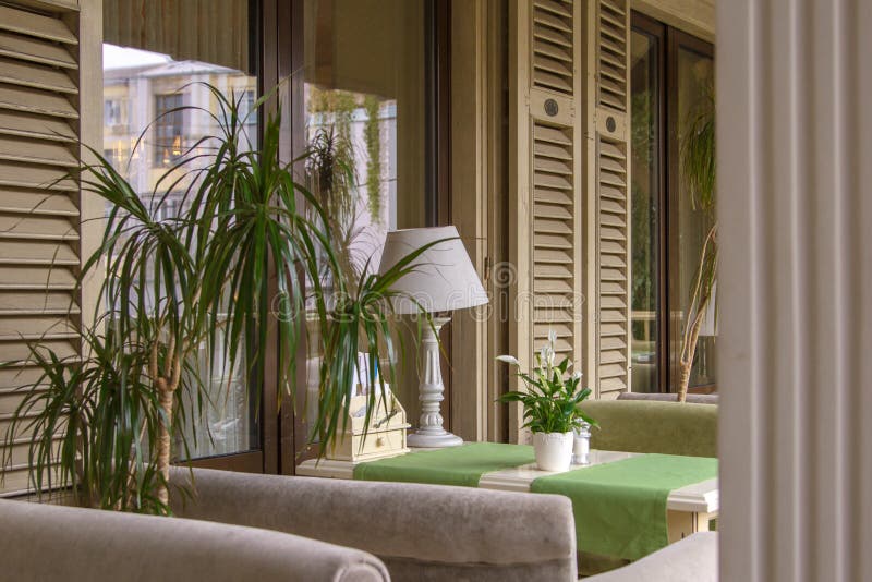 Floristics and Landscaping of the Interior with the Help of Yuka Trees ...