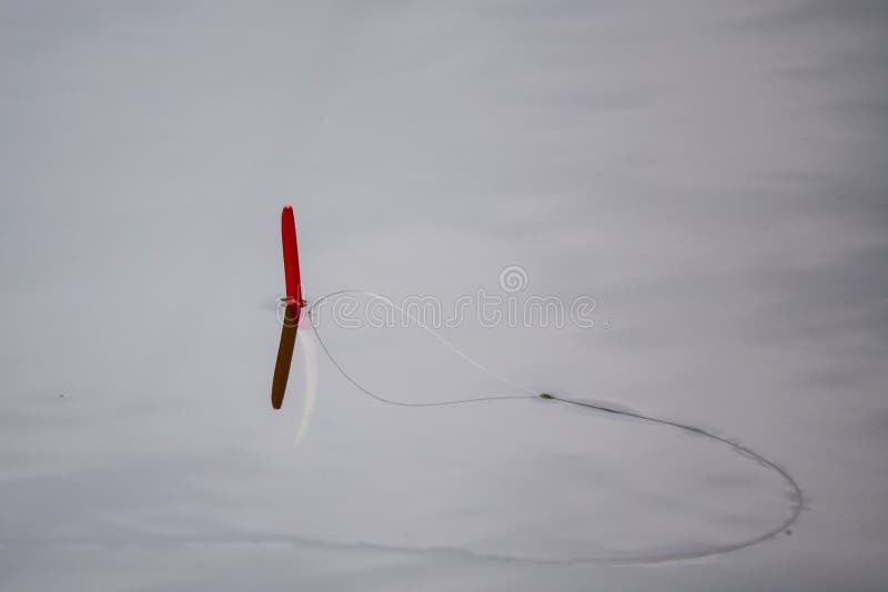 Floss Auf Dem Wasser Mit Einer Angelschnur Stockfoto - Bild von menge ...