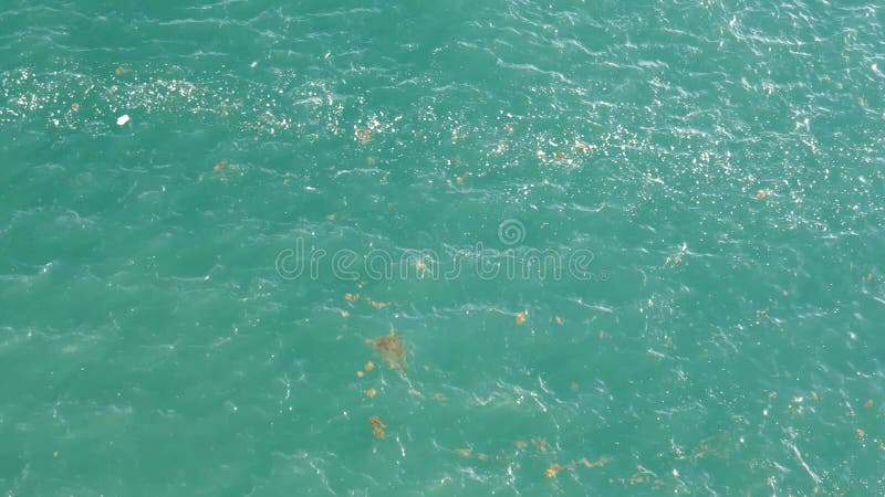 Flotsam and Jetsam Floating by on Ocean Water Surface Stock Footage ...