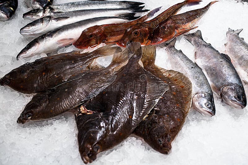 Flounder Beautifully Laid Out Lies on Ice Stock Image - Image of cook ...