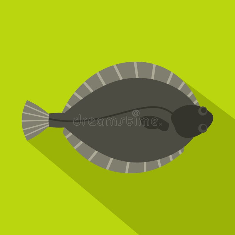 Sole Fish Studio Stock Illustrations – 42 Sole Fish Studio Stock ...