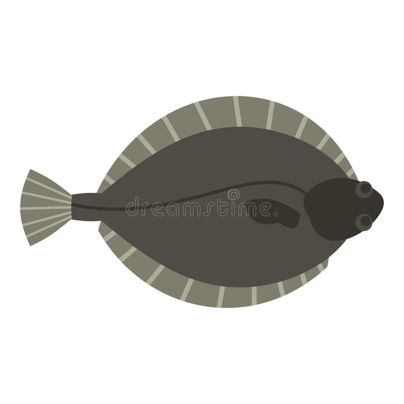 Sole Fish Studio Stock Illustrations – 42 Sole Fish Studio Stock ...