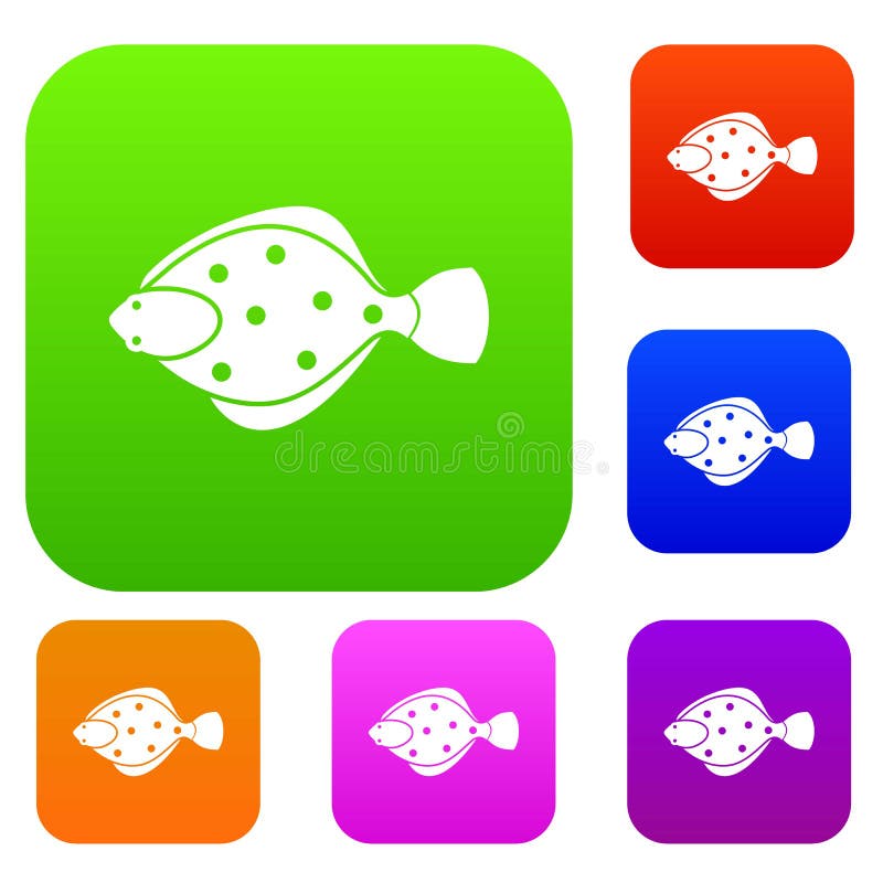 Sole Fish Studio Stock Illustrations – 44 Sole Fish Studio Stock ...