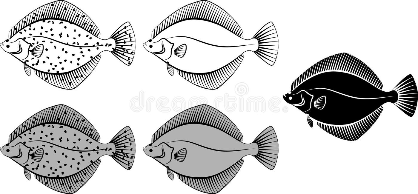 Flounder Silhouette Stock Illustrations – 430 Flounder Silhouette Stock ...