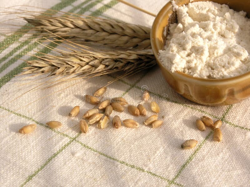 Flour stock image. Image of closeup, fresh, gold, food - 203555