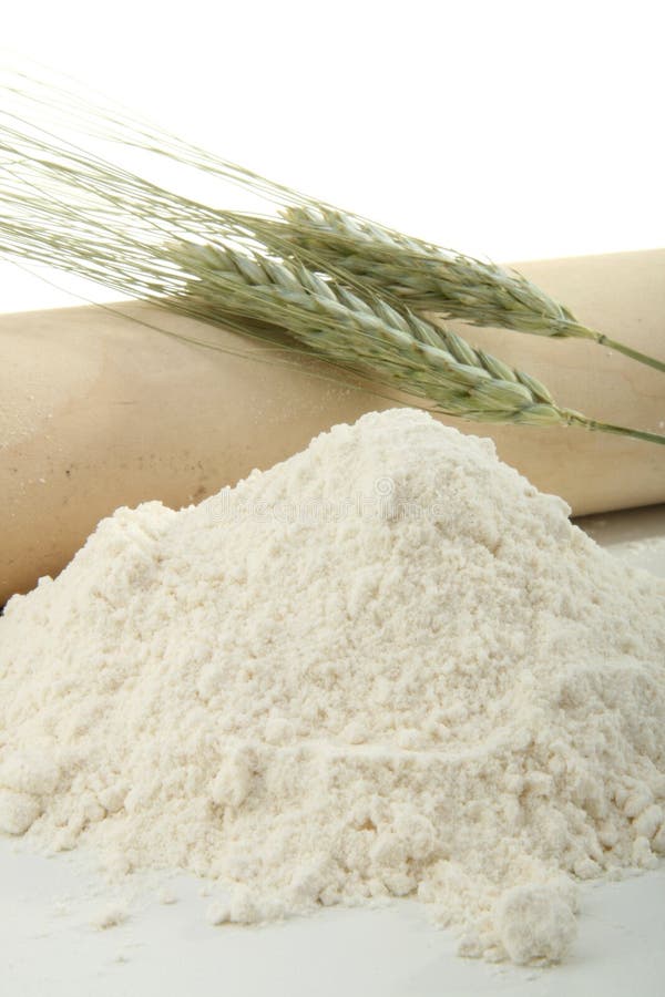 Wheat and flour stock photo. Image of food, nutritious - 6629200