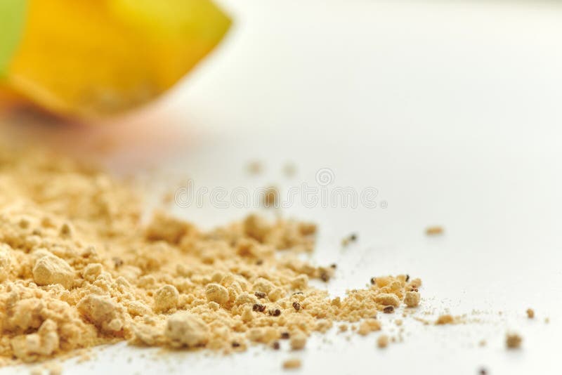 Flour Beetles in Baking Flour Stock Photo - Image of house, entomology ...