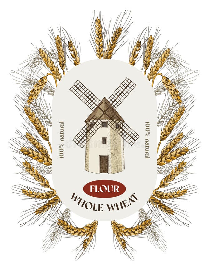 Flour Label Template with Hand Drawn Wheat Spikelets and Old Mill Stock ...
