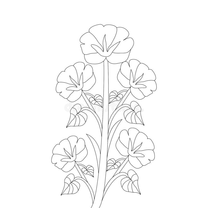 Flourish Line Art Stroke of Coloring Page Vector File Graphic ...