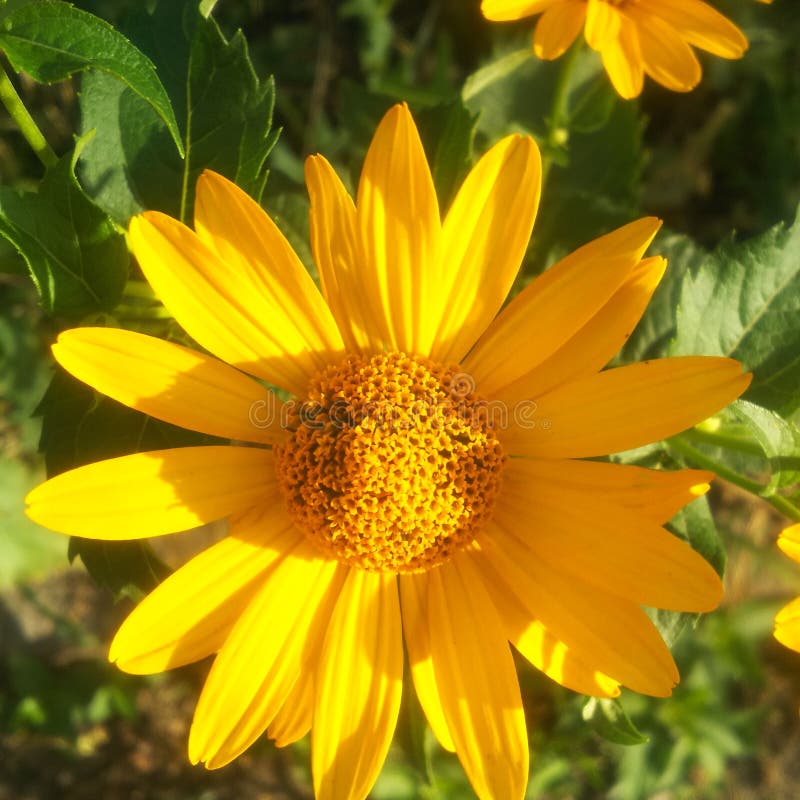 Vasilylivitzky - Photographer profile