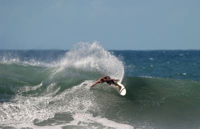 7,152 Back Flow Disgn Stock Photos - Free & Royalty-Free Stock Photos ...