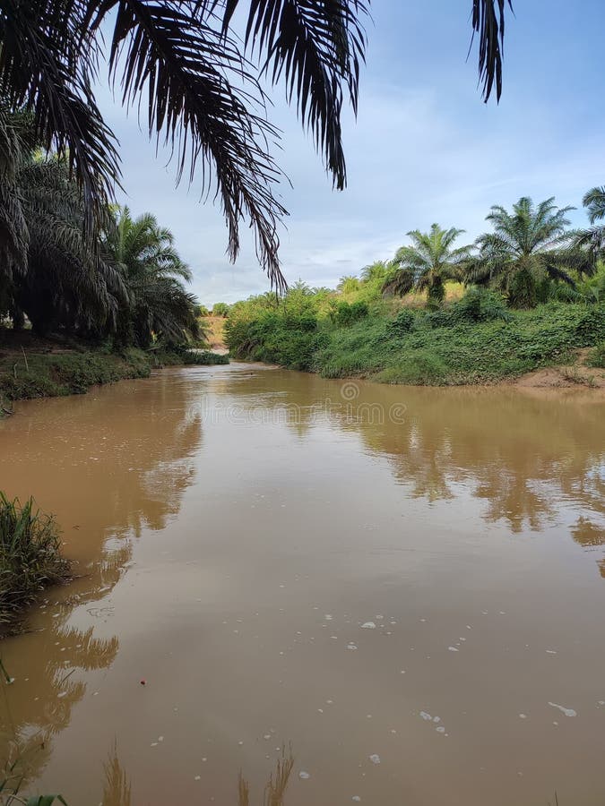 The Flow of Brown River Water is Beautiful and Aesthetic with an ...