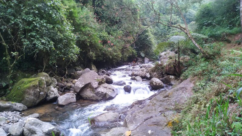 The Flow that Comes from the Waterfall and Passes through the Rocks ...