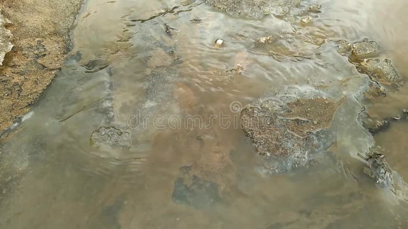 Flow of a Dirty Melted Puddle in Spring. Stock Video - Video of slush ...