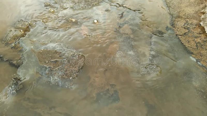 Flow of a Dirty Melted Puddle in Spring. Stock Video - Video of ...