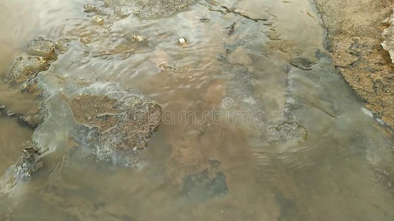 Flow of a Dirty Melted Puddle in Spring. Stock Video - Video of natural ...