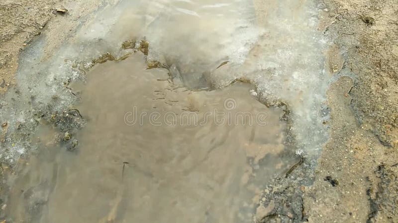 Flow of a Dirty Melted Puddle in Spring. Stock Footage - Video of ...