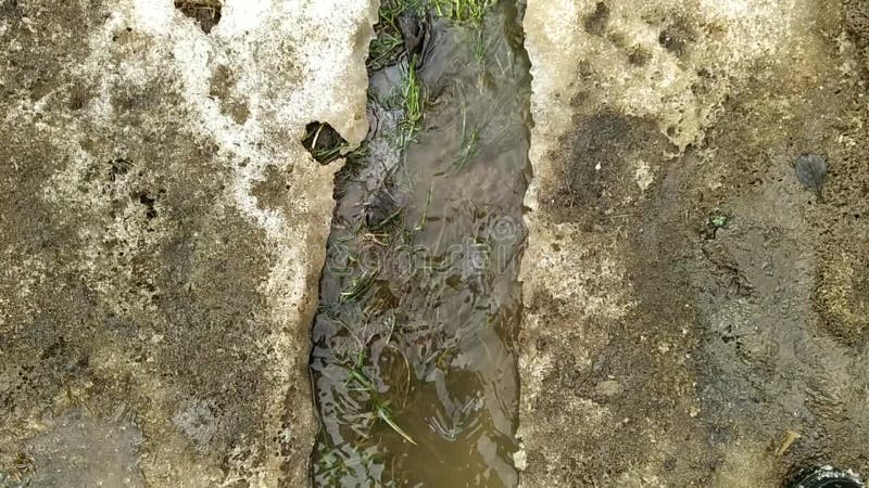 Flow of a Dirty Melted Puddle in Spring. Top View Video. Stock Footage ...