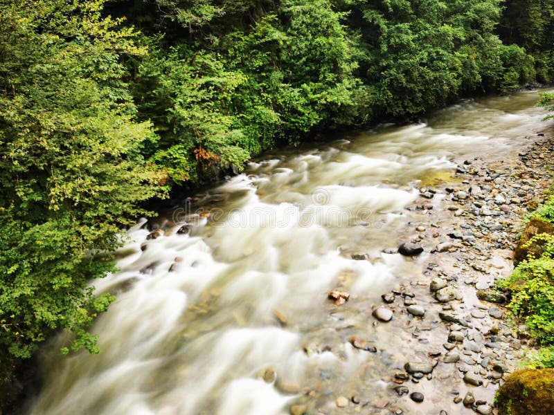 The Flow of the Long Stream in the Green Nature of Rize Ayder Stock ...