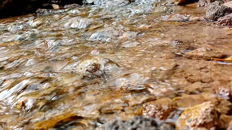 Flow of Pure Mountain Spring Water. Natural Mountain Spring Stock Video ...