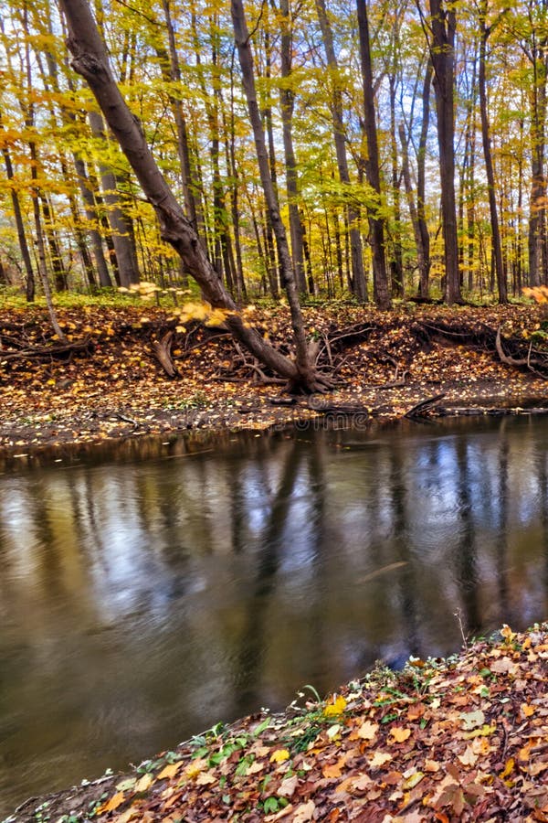 The Flow of the River in Fall is Arrested by Long Exposure - Fall in ...