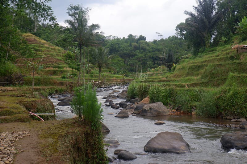 The Flow of the River that Flows between Rocks Stock Image - Image of ...