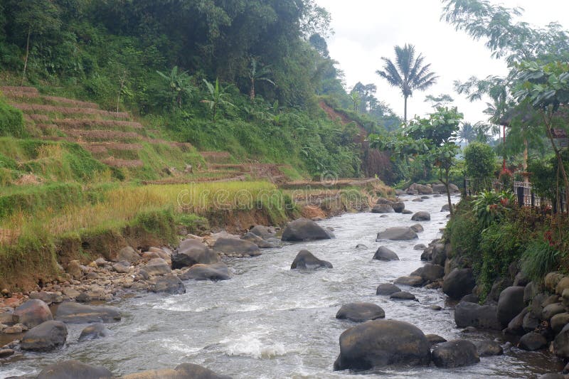 The Flow of the River that Flows between Rocks Stock Photo - Image of ...